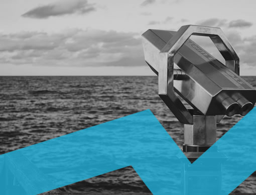 Individual Reports: Phocuswright